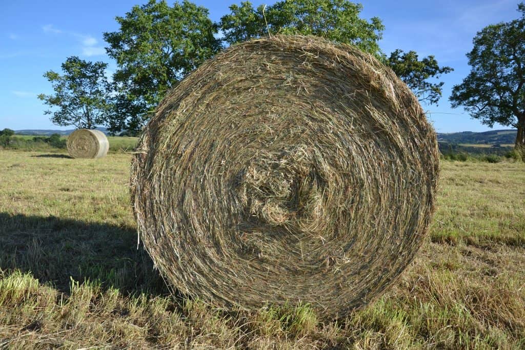 5 Ways to Make Hay While the Sun Shines | Smart Money Advice